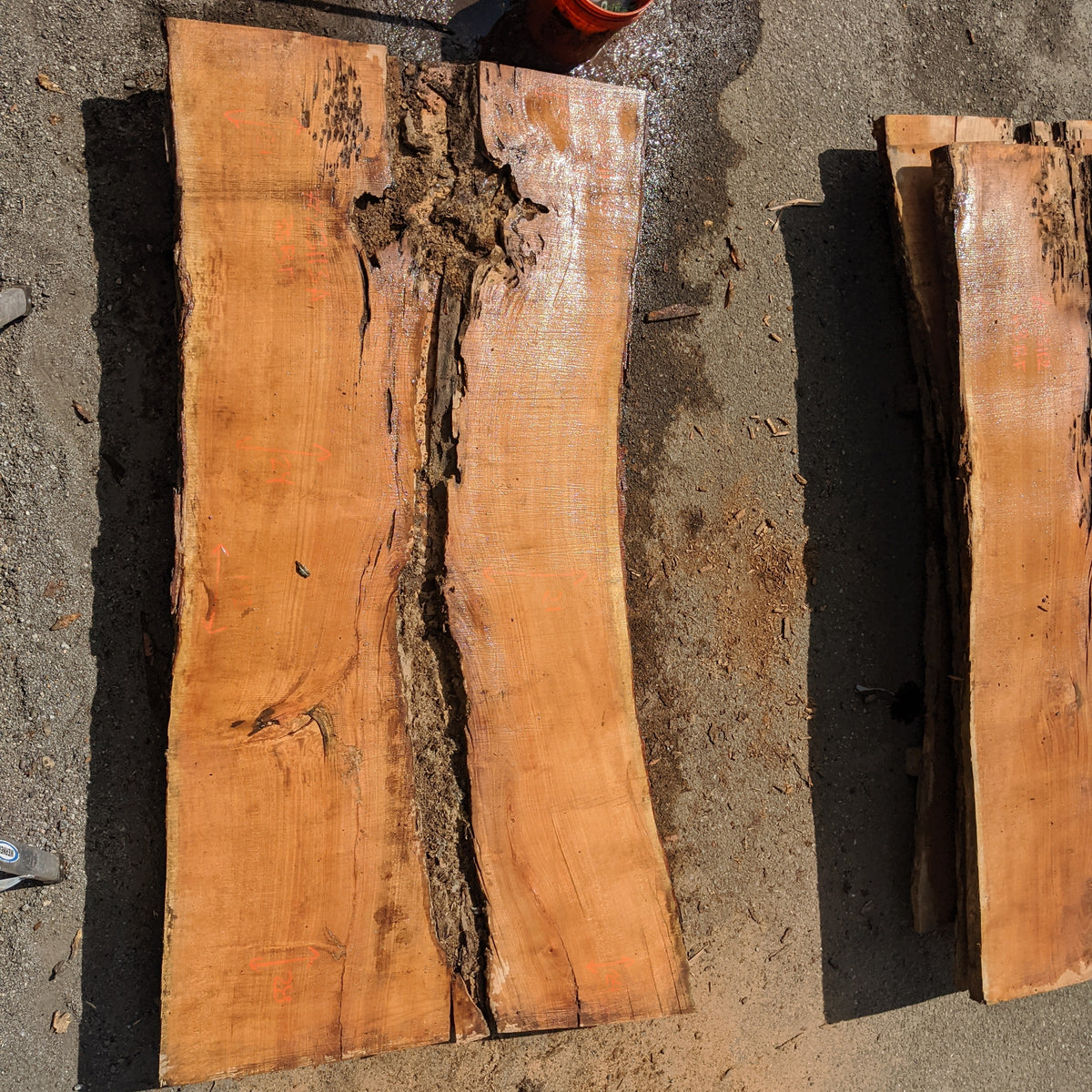 #23113 A/B Honey Locust Slab – The Hardwood Mall