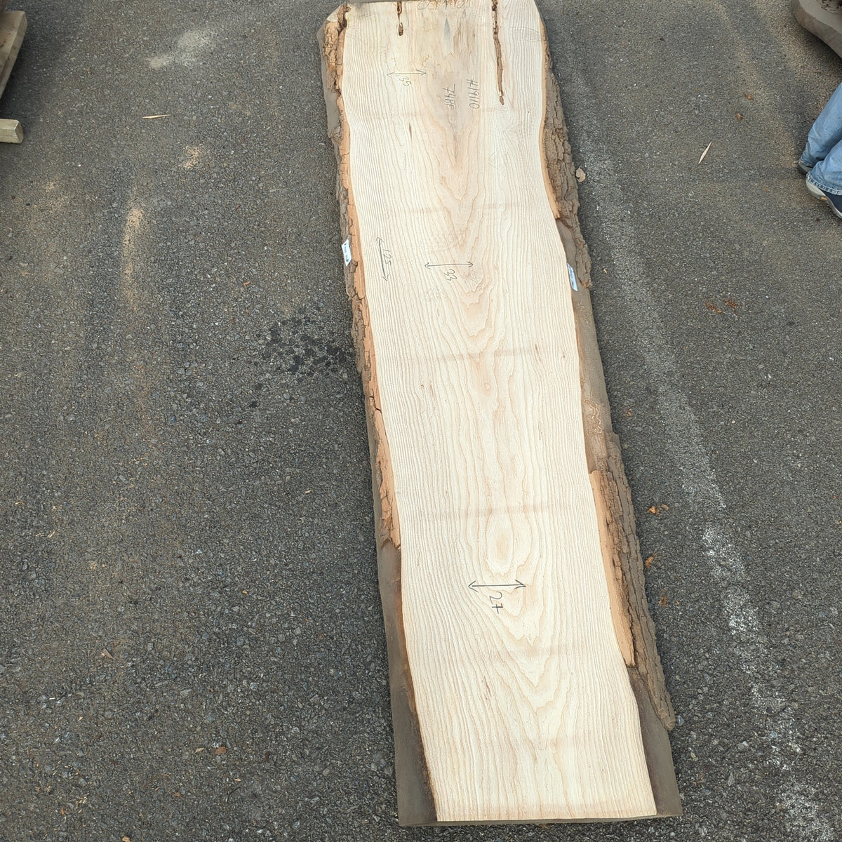 #19110 Ash slab – The Hardwood Mall