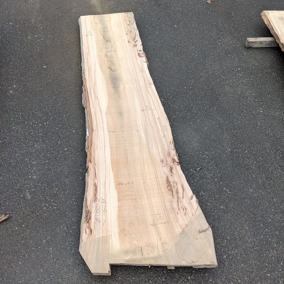 #18813 Elm Slab – The Hardwood Mall
