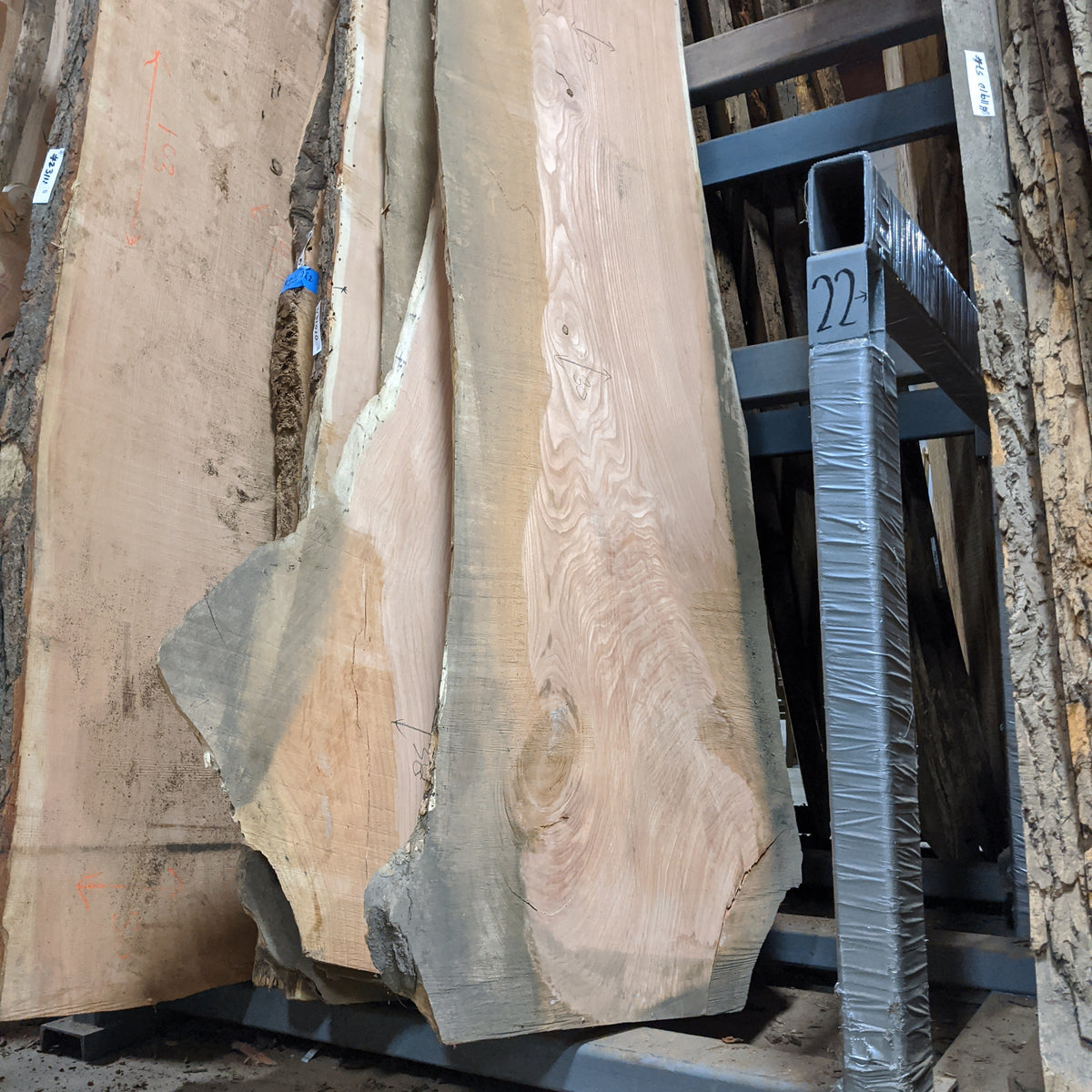 #13409 Honey Locust Slab – The Hardwood Mall