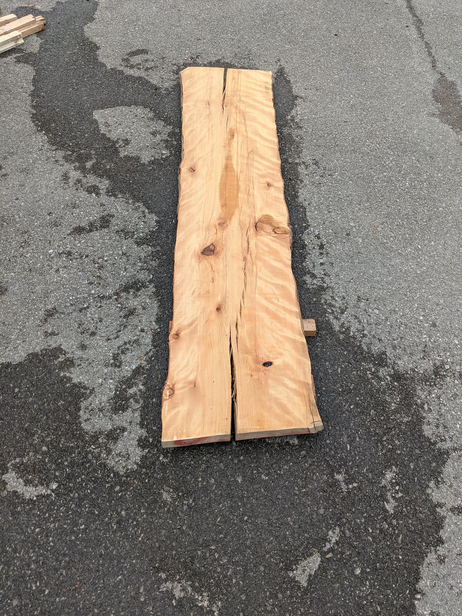 #31004 Beech Slab – The Hardwood Mall
